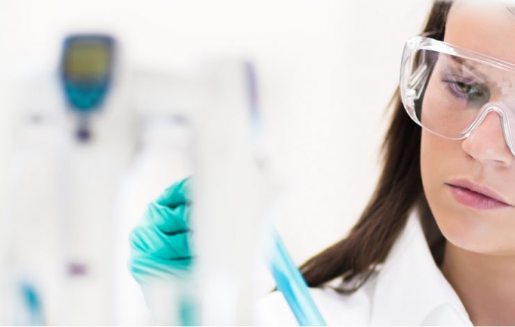 Businesses And Innovation - Ebro Foods